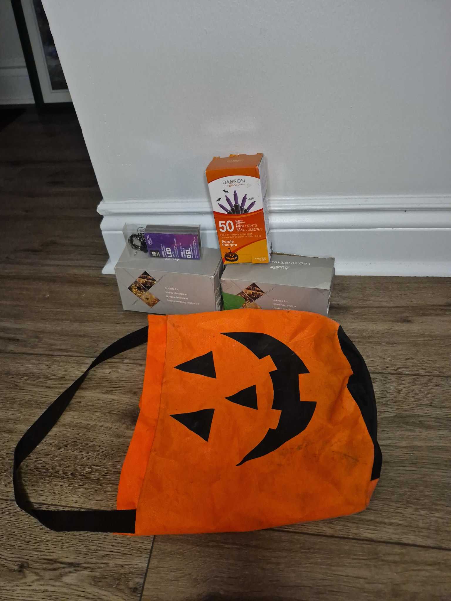 Danson Decor Halloween lights and treat bag | Maxsold