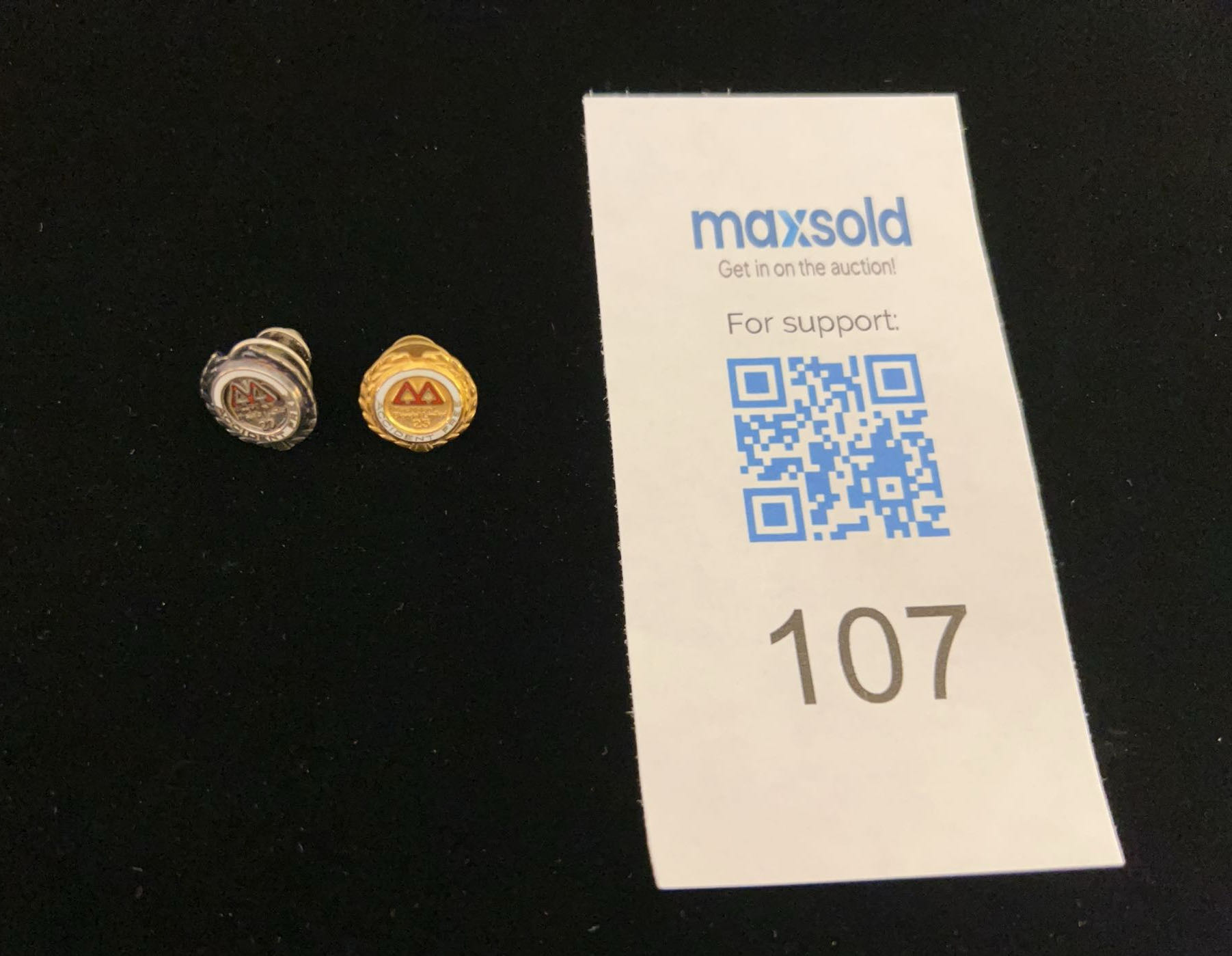 Sterling 20- & 25-Year MacMillan Bloedel Pins | Maxsold